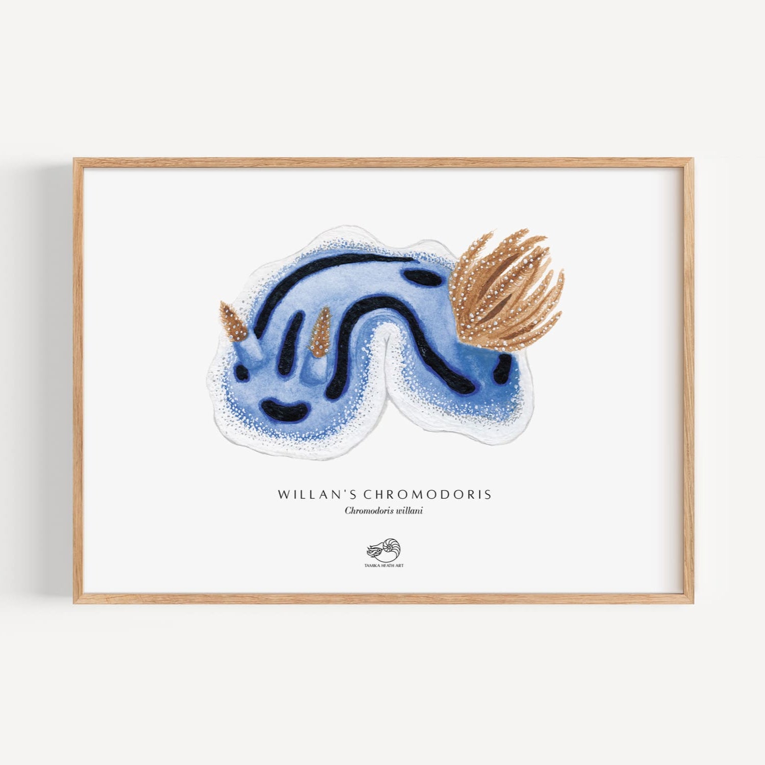 Willan's Chromodoris Art Print