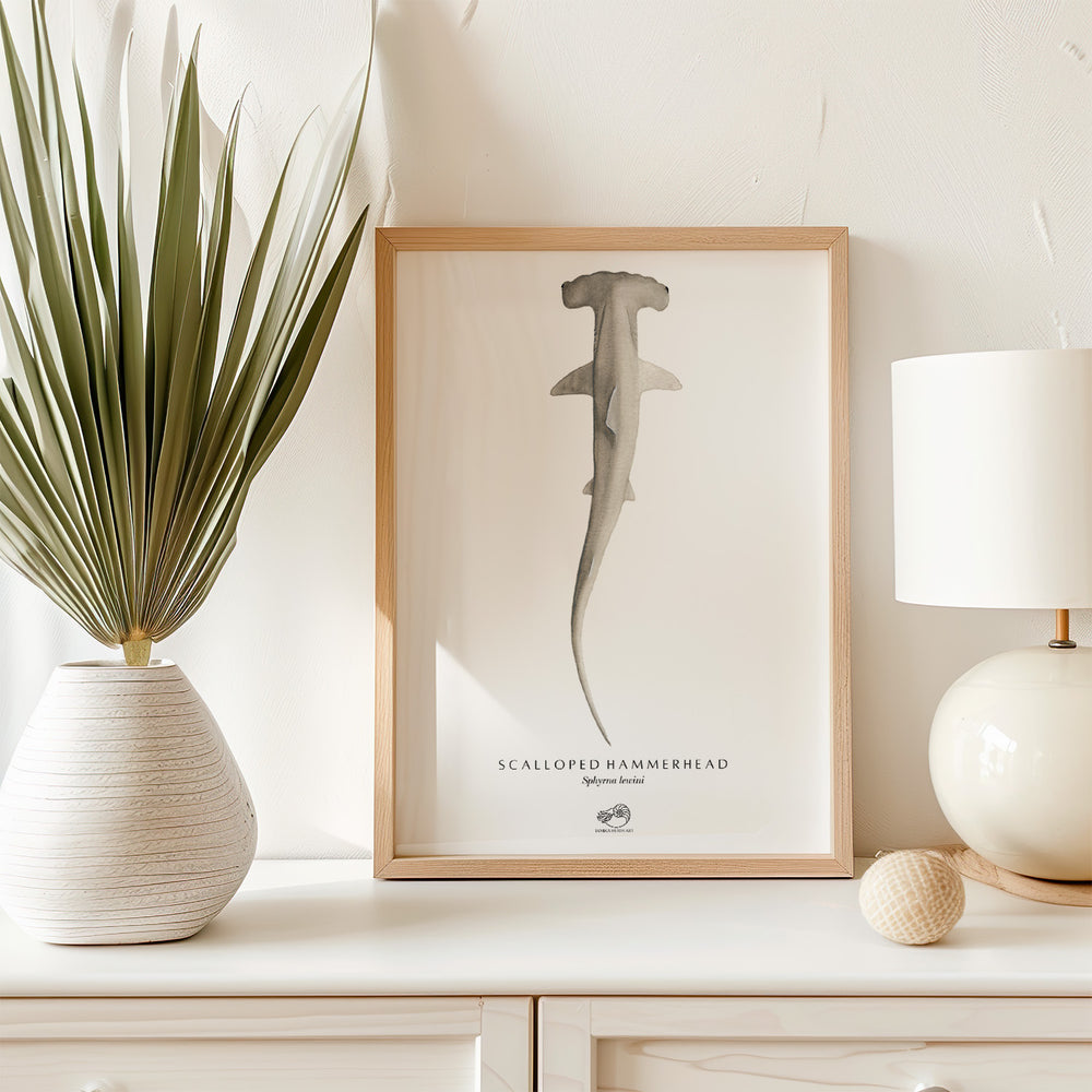Scalloped Hammerhead Art Print